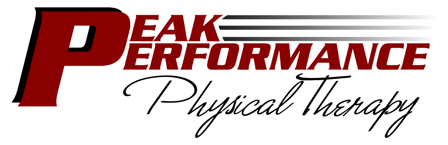 Physical Therapy Michigan - Peak Performance Physical Therapy